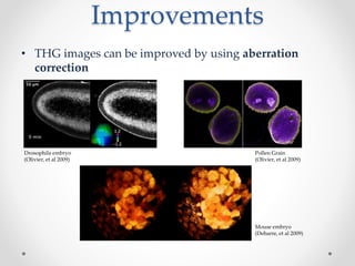 Label-free live brain imaging and targeted patching with third-harmonic ...