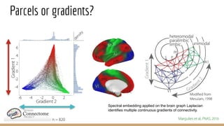 Rsc educational bellec_parcellation | PDF