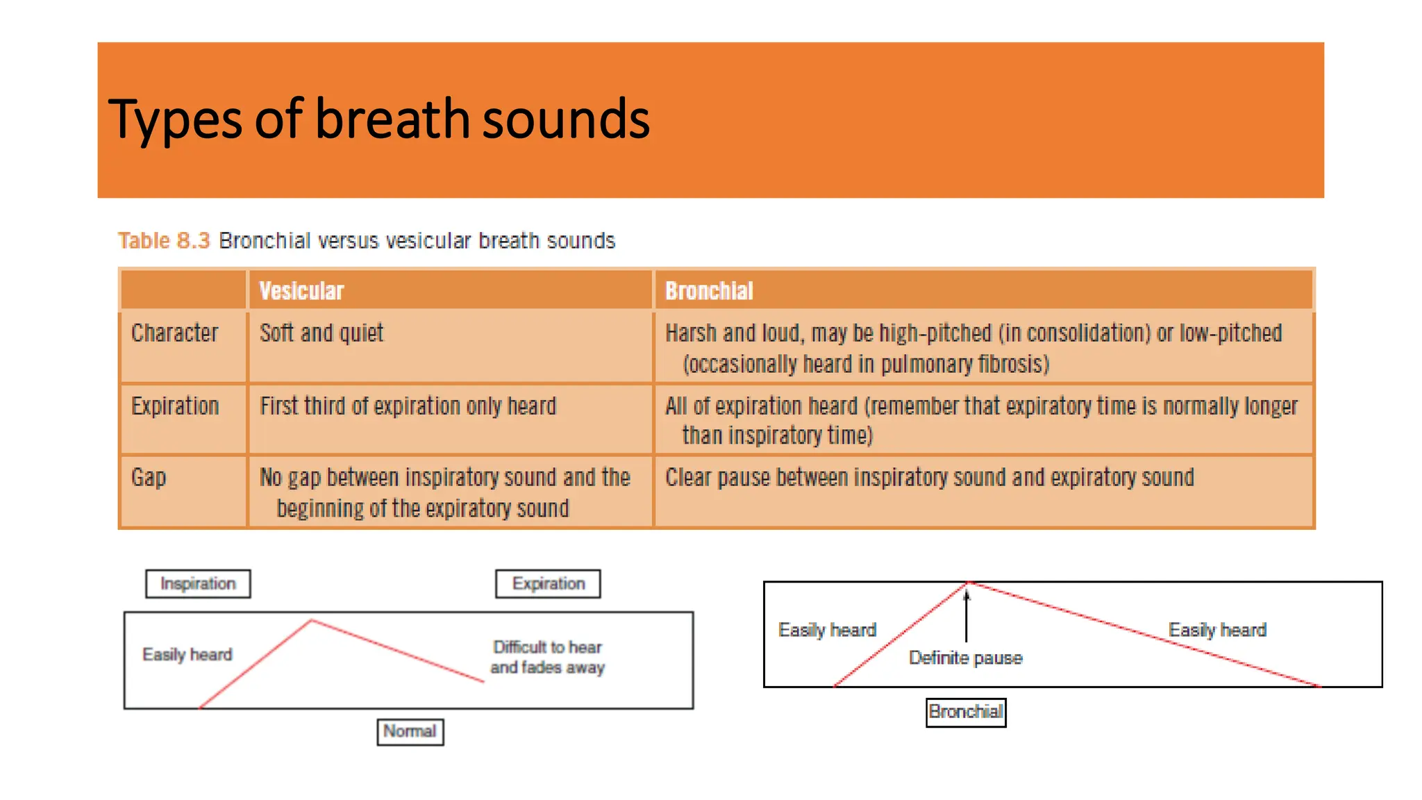Respiratory examination Chamberlain medicine | PDF