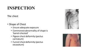 Respiratory examination Chamberlain medicine | PDF