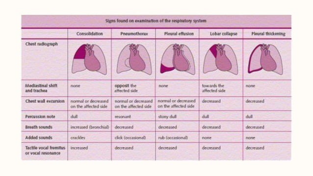 Respiratory examination Chamberlain medicine | PDF