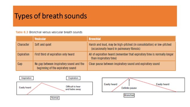 Respiratory examination Chamberlain medicine | PDF