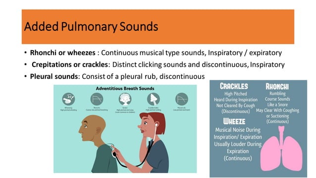 Respiratory examination Chamberlain medicine | PDF