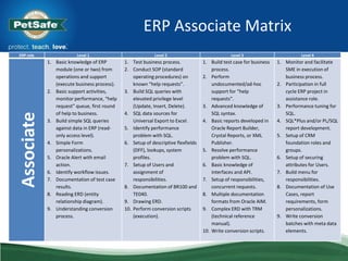 RSC Oracle ERP capabilities matrix | PDF