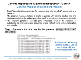 RSEM and DE packages | PDF