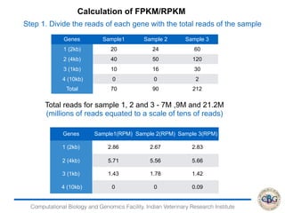 RSEM and DE packages | PDF