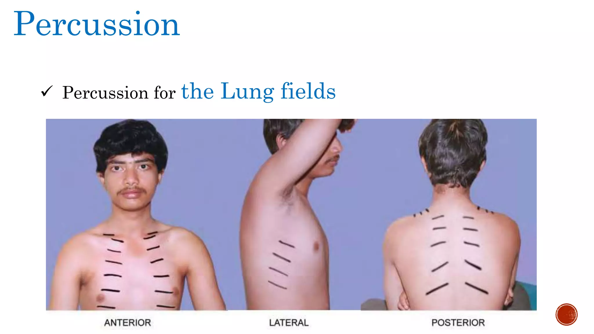 Clinical Examination of RS | PPTX