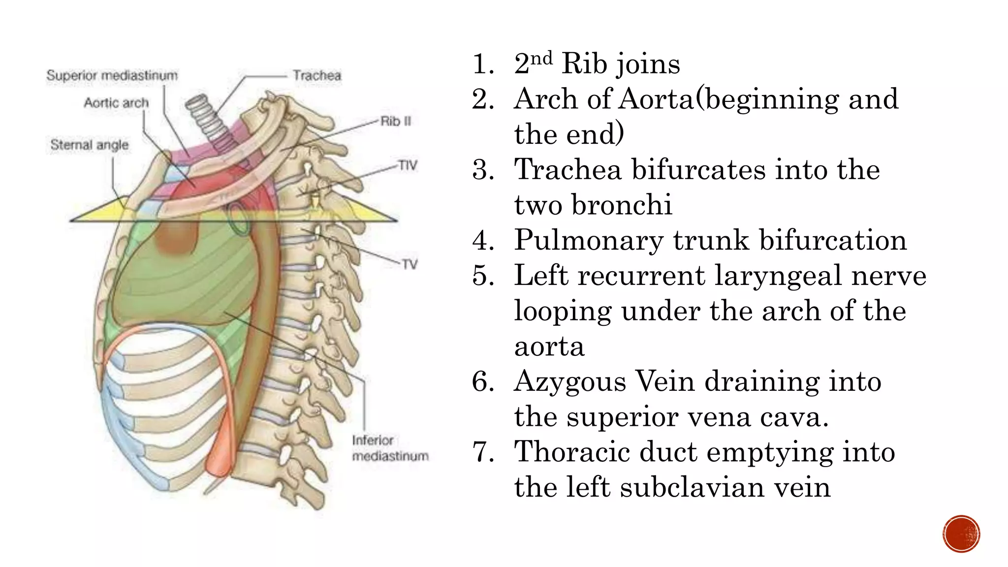 Clinical Examination of RS | PPTX