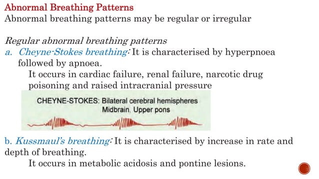 Clinical Examination of RS | PPTX