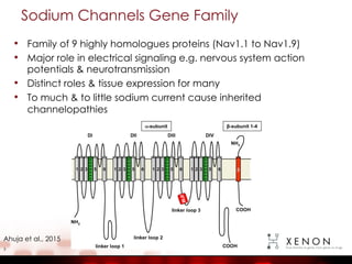 GETTING TO ACCESS: Sodium Channel Modulators & Precision Medicine for ...