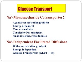 RS_Major Metabolic Pathways of Glucose with text.ppt