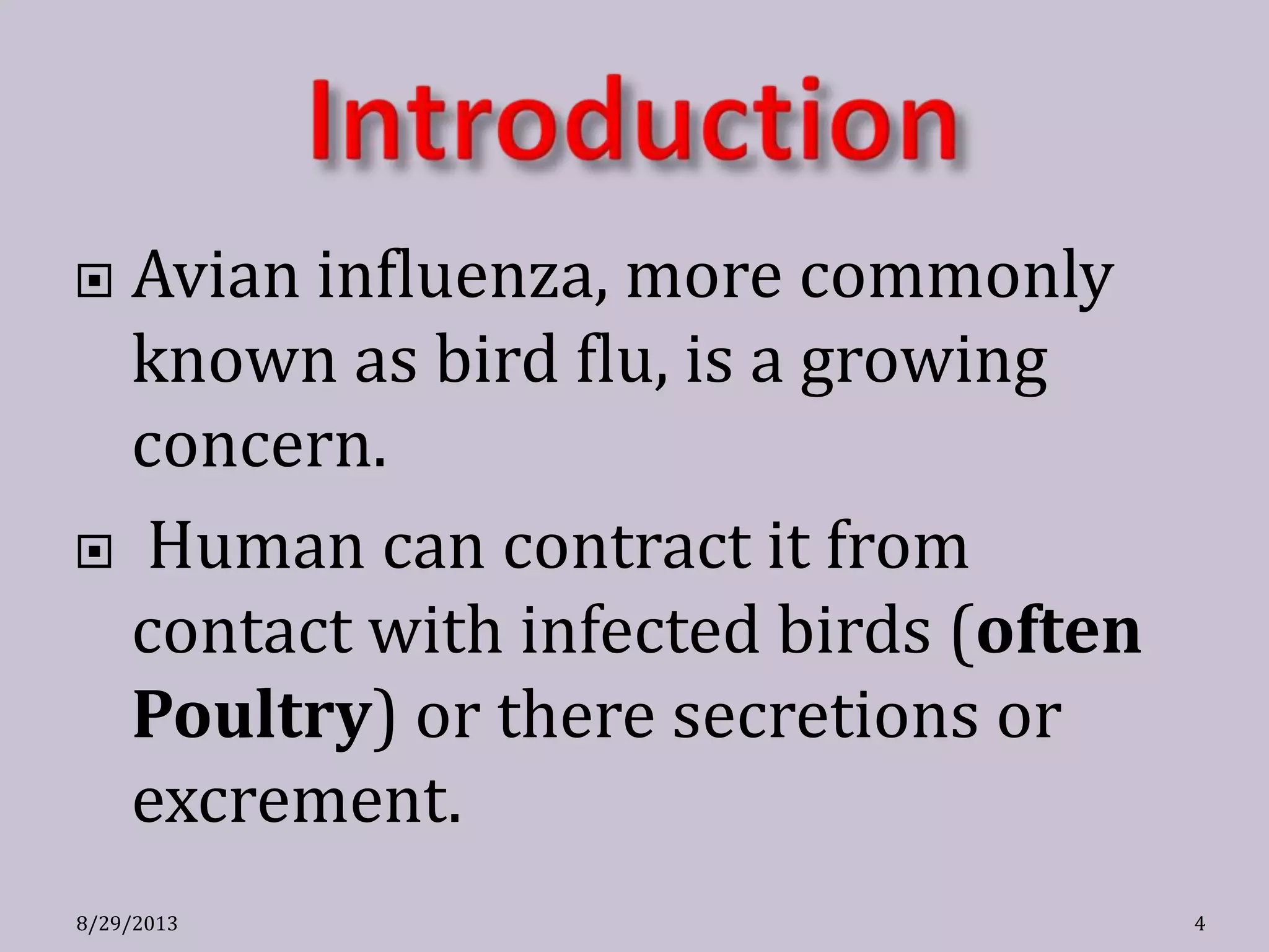 Bird Flu, Avain Influenza | PPTX