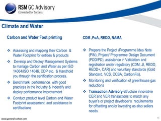 Rsm GC Advisory Corporate Presentation | PPTX