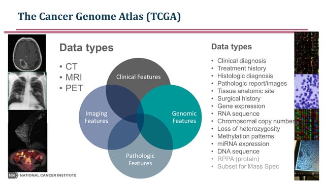 An introduction to The Cancer Imaging Archive (Hands on) | PPT