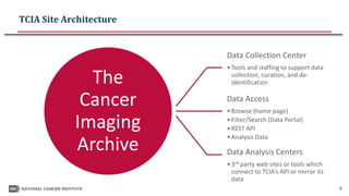 An introduction to The Cancer Imaging Archive (Hands on) | PPTX