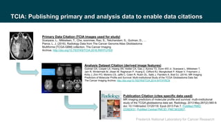 Public Databases for Radiomics Research: Current Status and Future ...