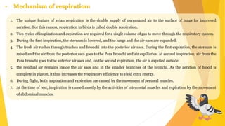 Respiratory system of pigeon | PPTX