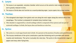 Respiratory system of pigeon | PPTX