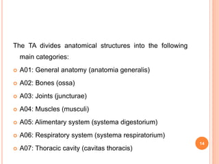 Nomina Anatomica & Anatomical Terminology | PPTX