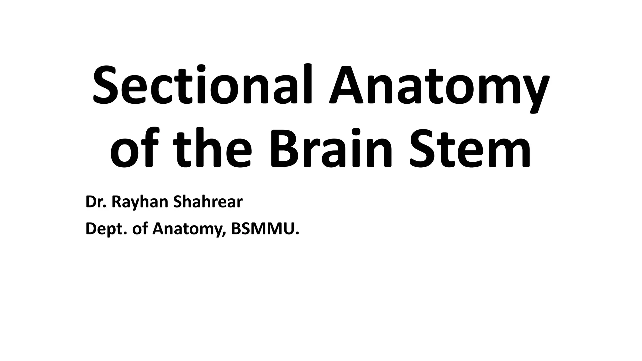 Sectional Anatomy of the Brain Stem | PPTX