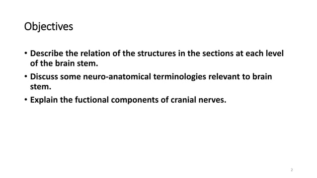 Sectional Anatomy of the Brain Stem | PPT