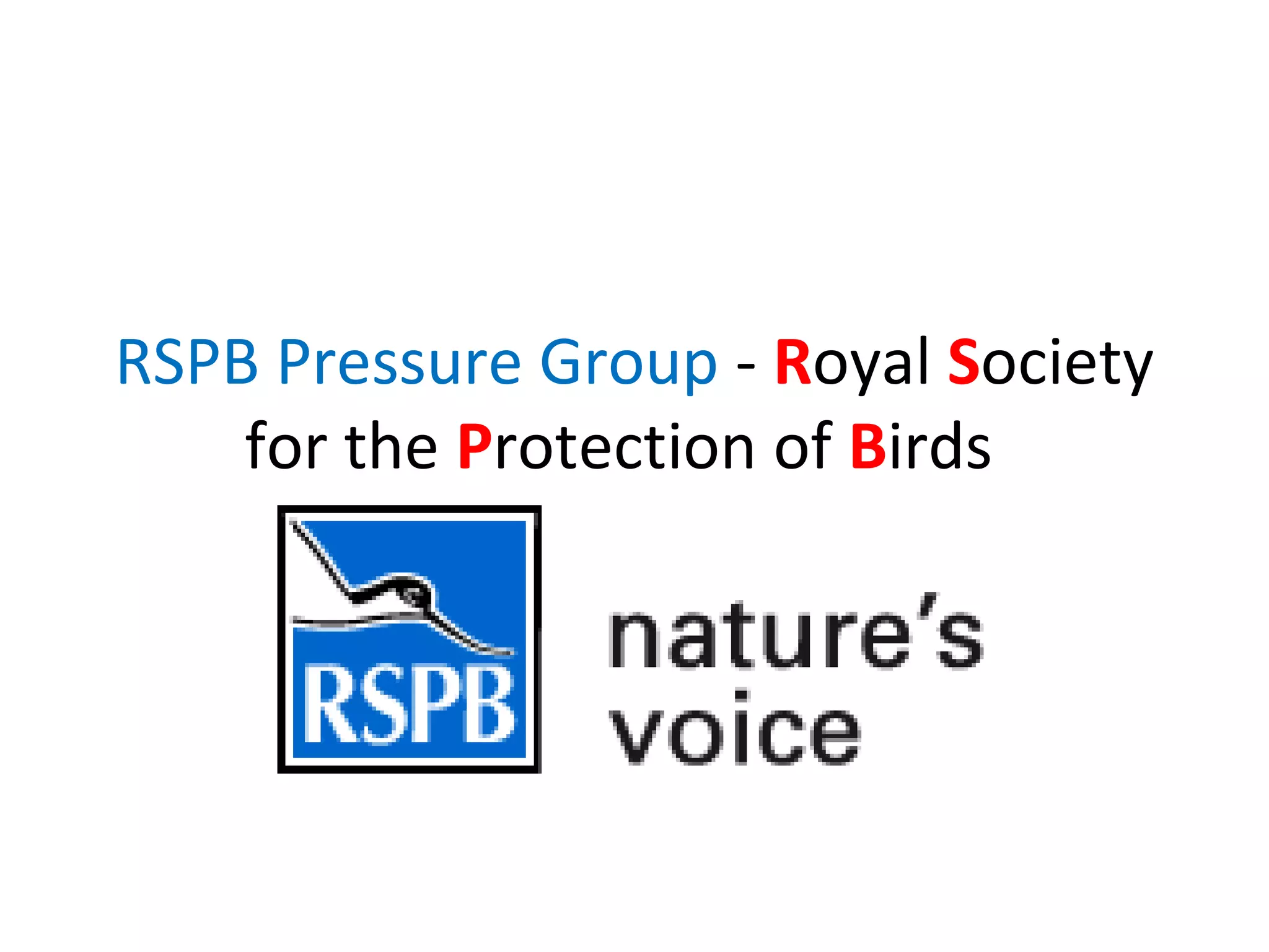 Rspb pressure group | PPT