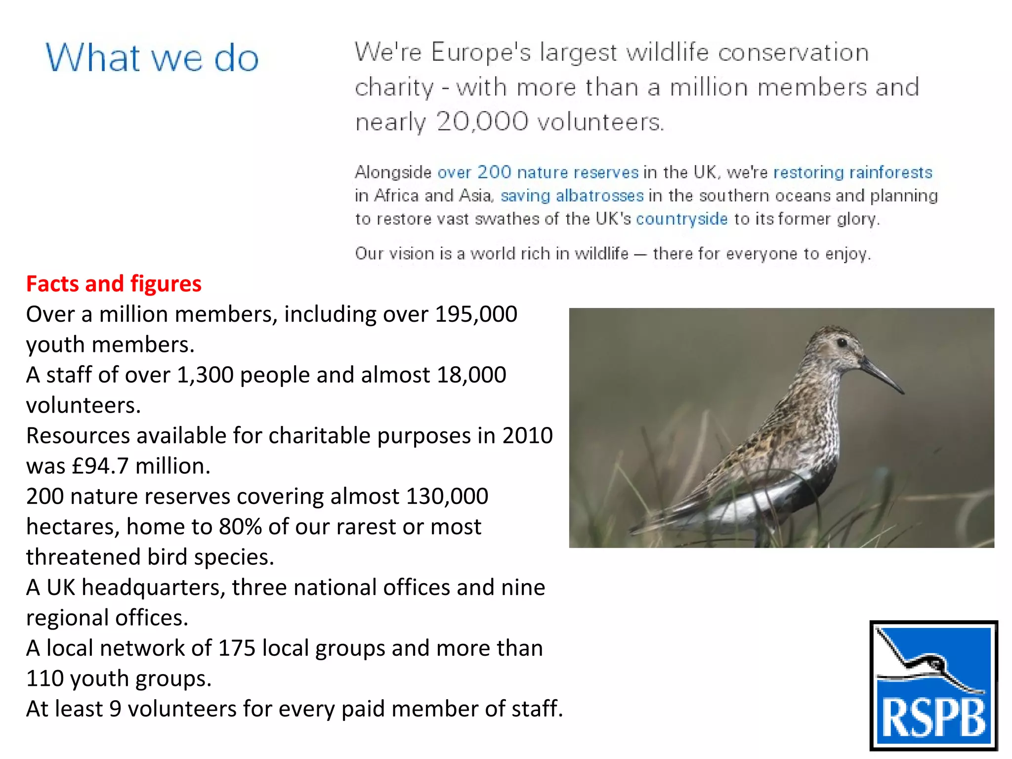 Rspb pressure group | PPT