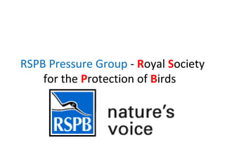Rspb pressure group | PPT