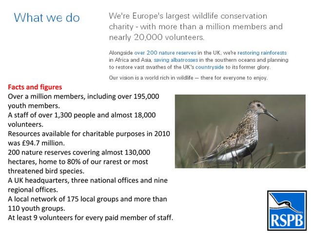 Rspb pressure group | PPT