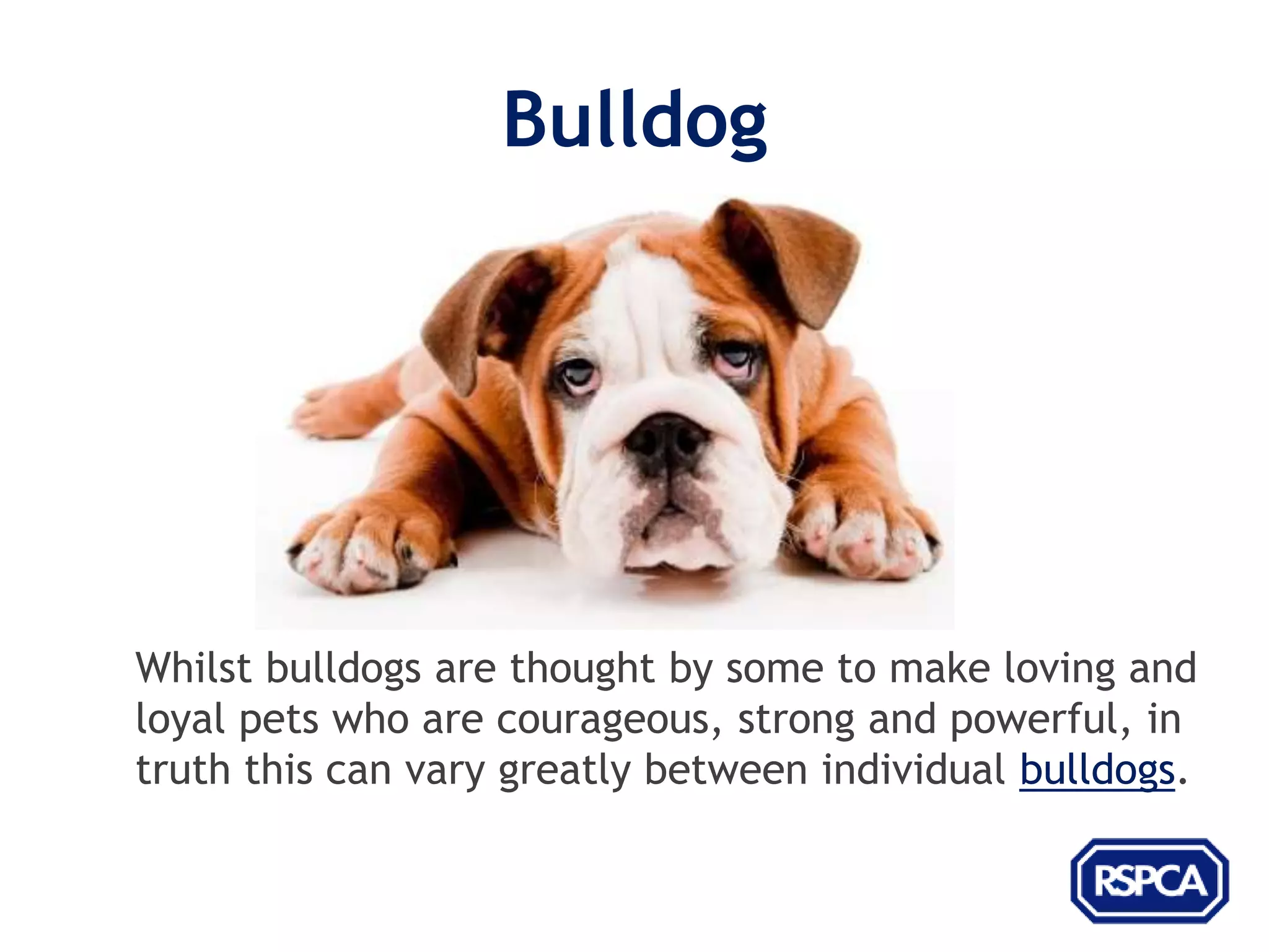 RSPCA - An overview of different dog breeds | PPTX | Dogs | Pets