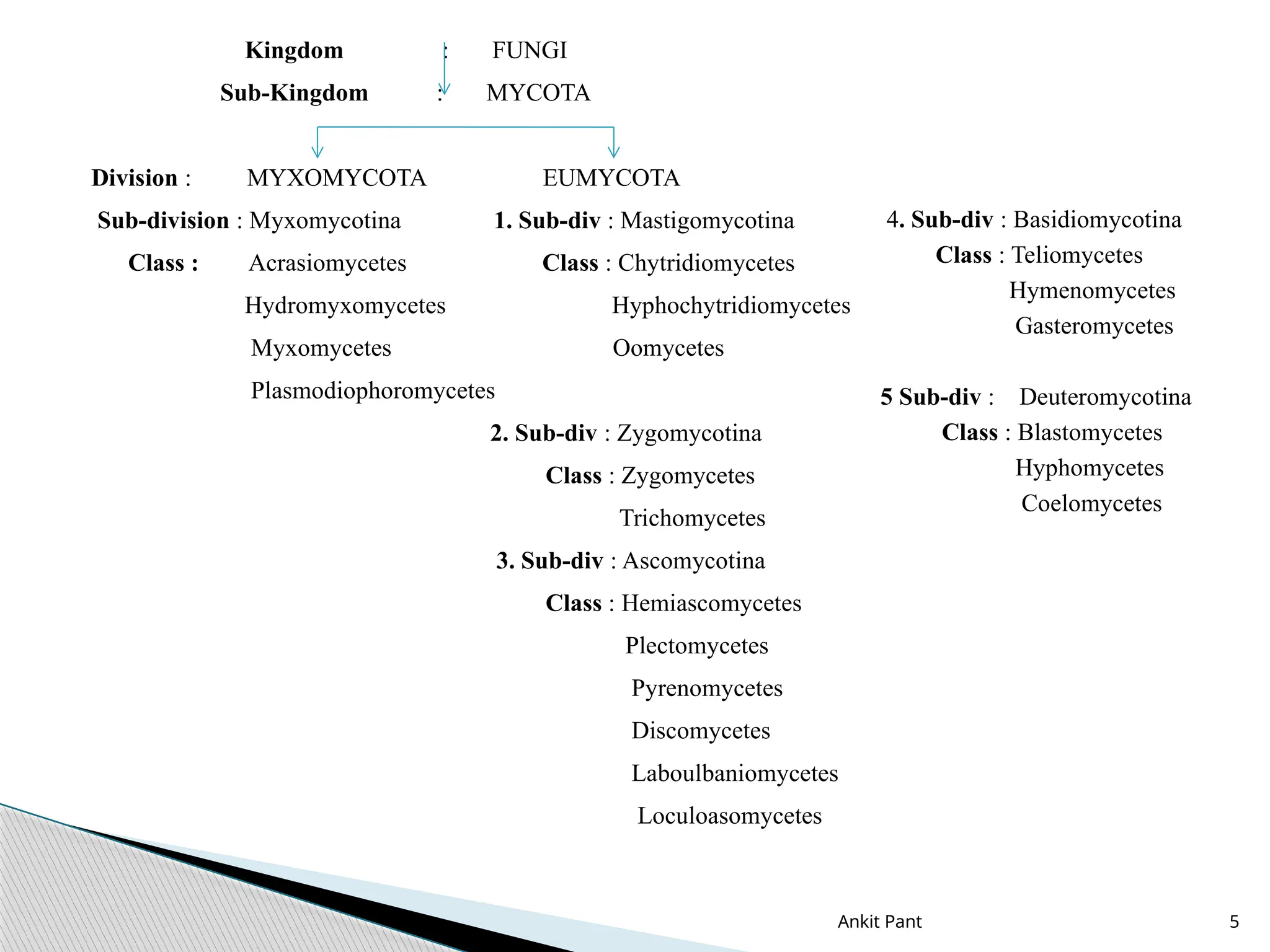 Classification of Fungi, taxonomy and Nomenclature.pptx