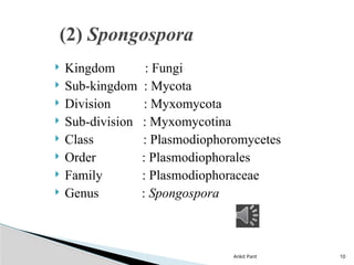 Classification of Fungi, taxonomy and Nomenclature.pptx