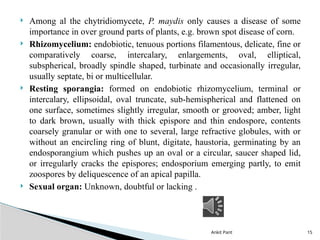 Classification of Fungi, taxonomy and Nomenclature.pptx