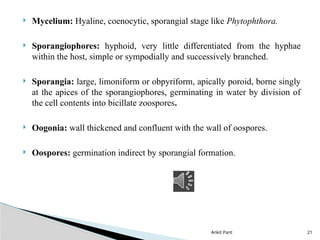 Classification of Fungi, taxonomy and Nomenclature.pptx