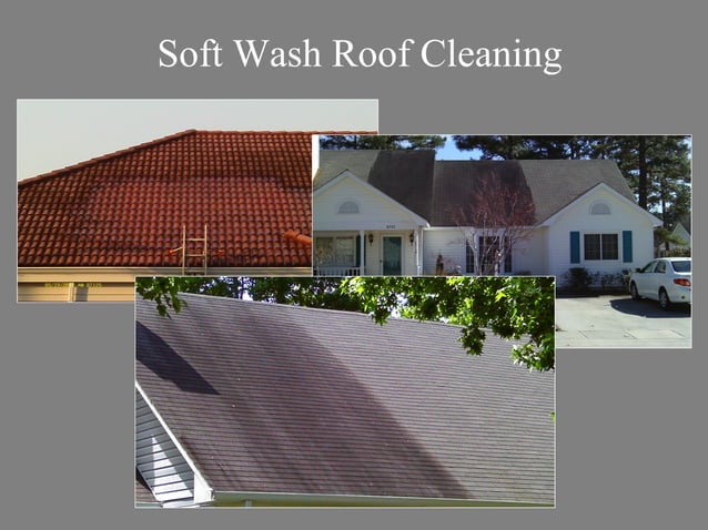 Roof Stain Removers Intro for Realtors | PPT