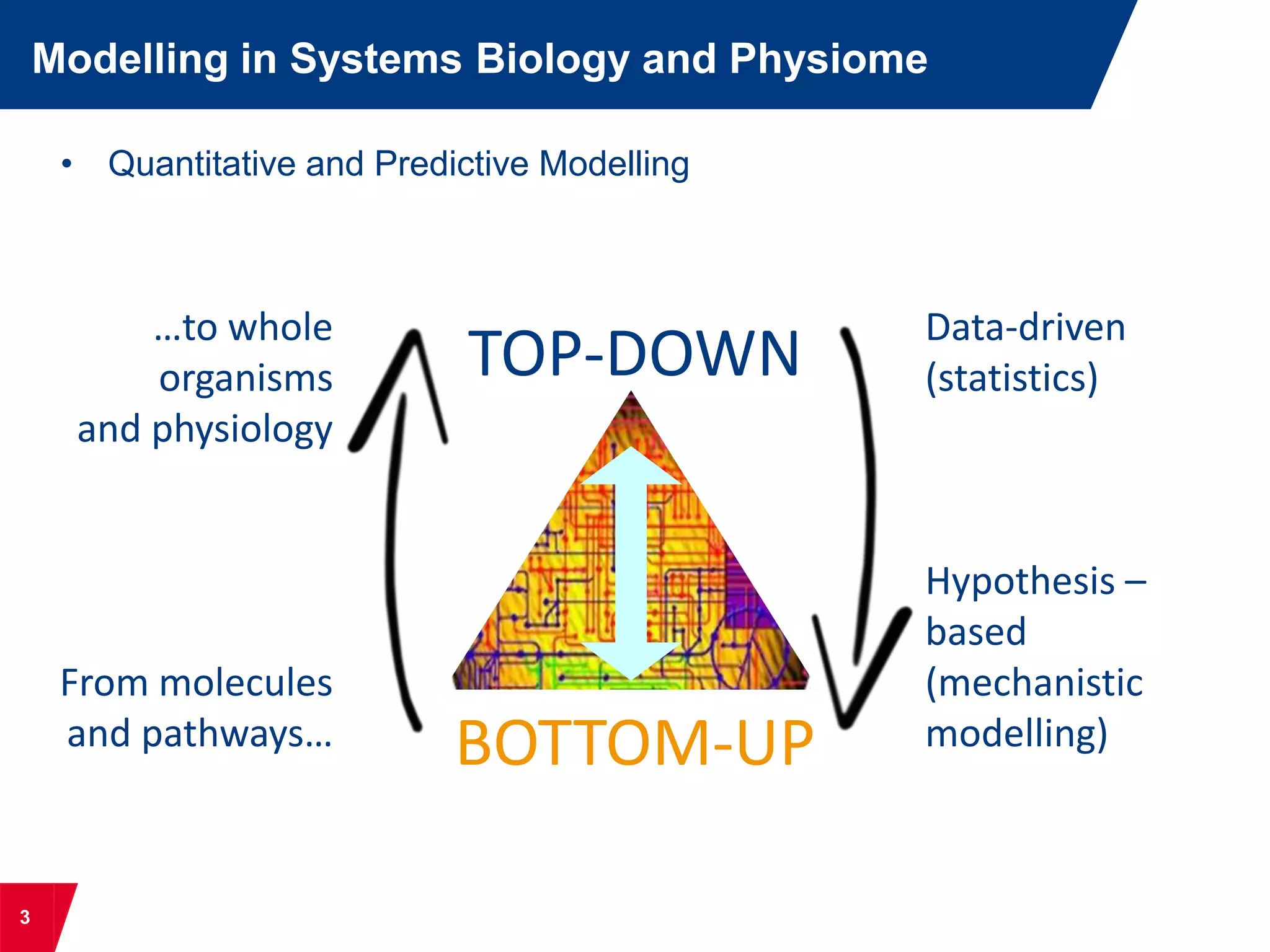 Modelling physiological uncertainty | PPT