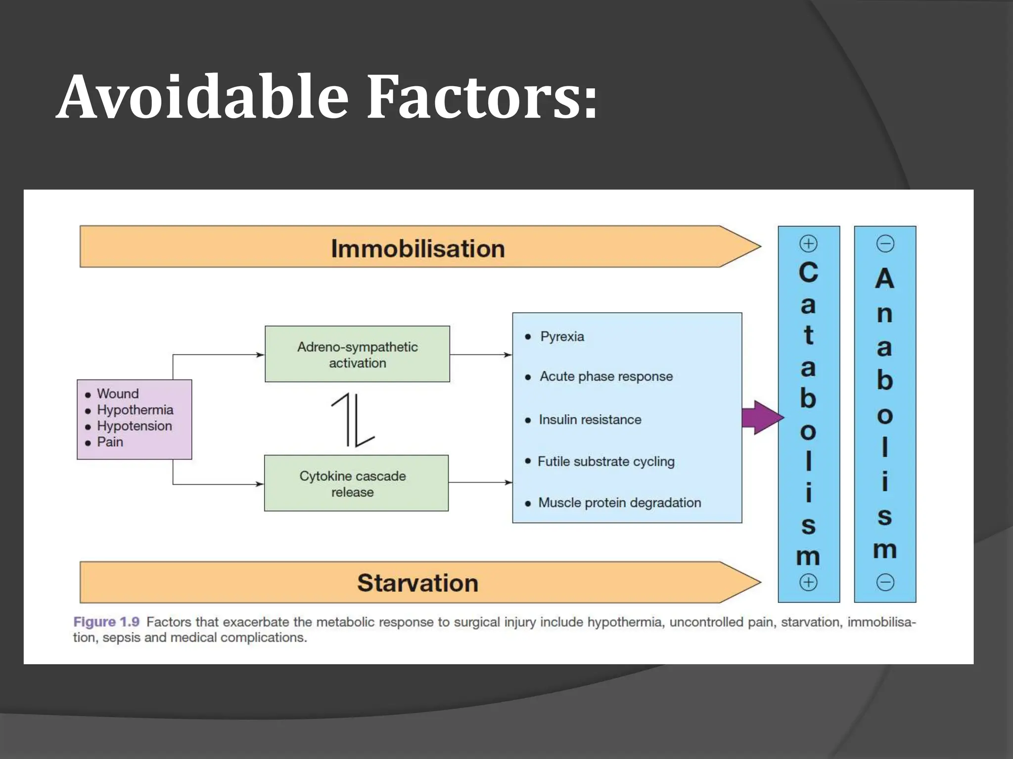 THE METABOLIC STRESS RESPONSE TO SURGERY AND TRAUMA.ppt