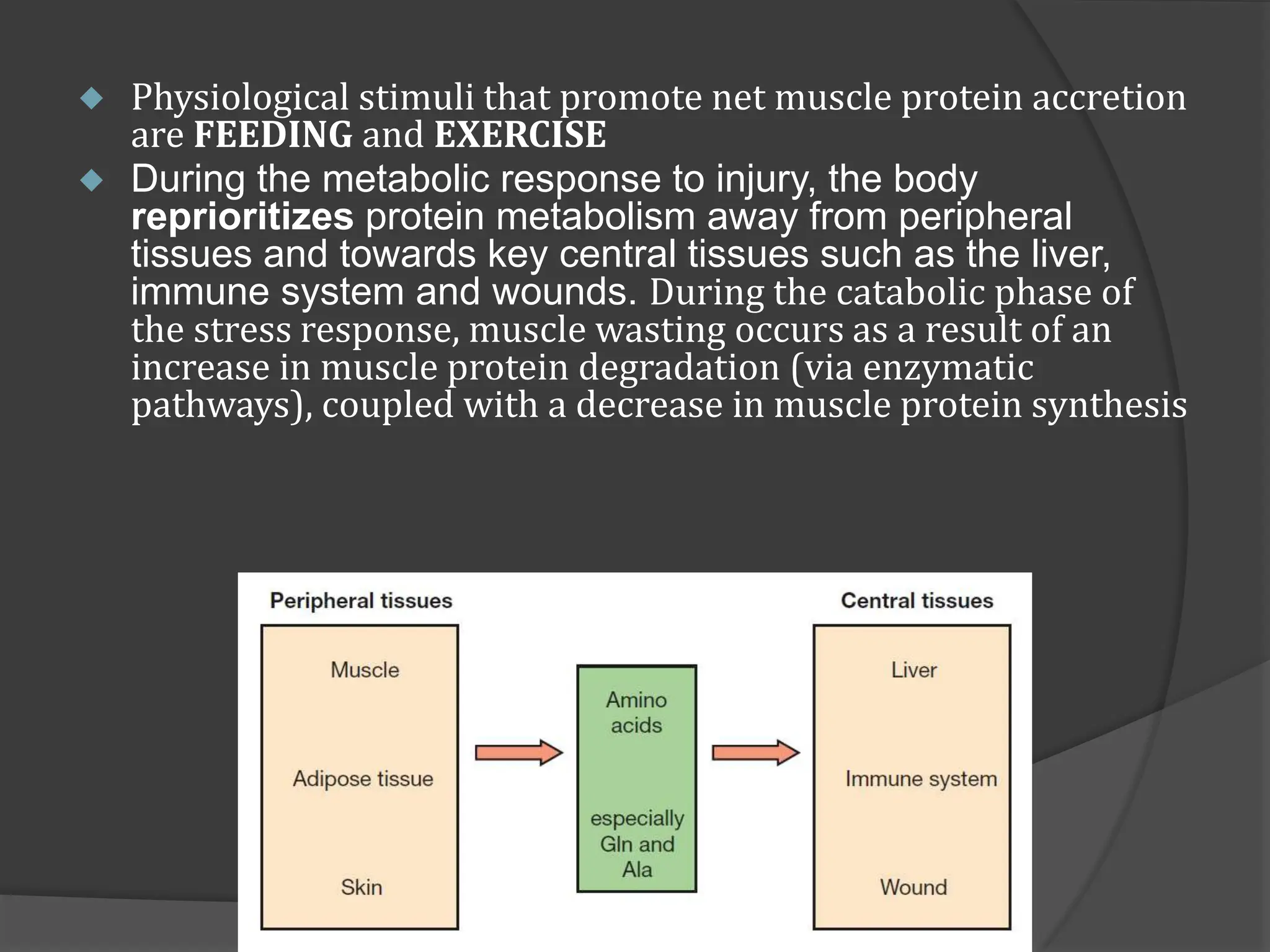 THE METABOLIC STRESS RESPONSE TO SURGERY AND TRAUMA.ppt
