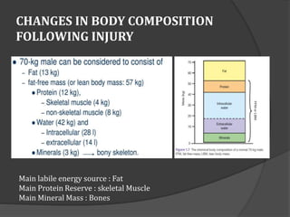 THE METABOLIC STRESS RESPONSE TO SURGERY AND TRAUMA.ppt