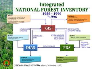 Country experiences in improving national forest monitoring | PDF ...