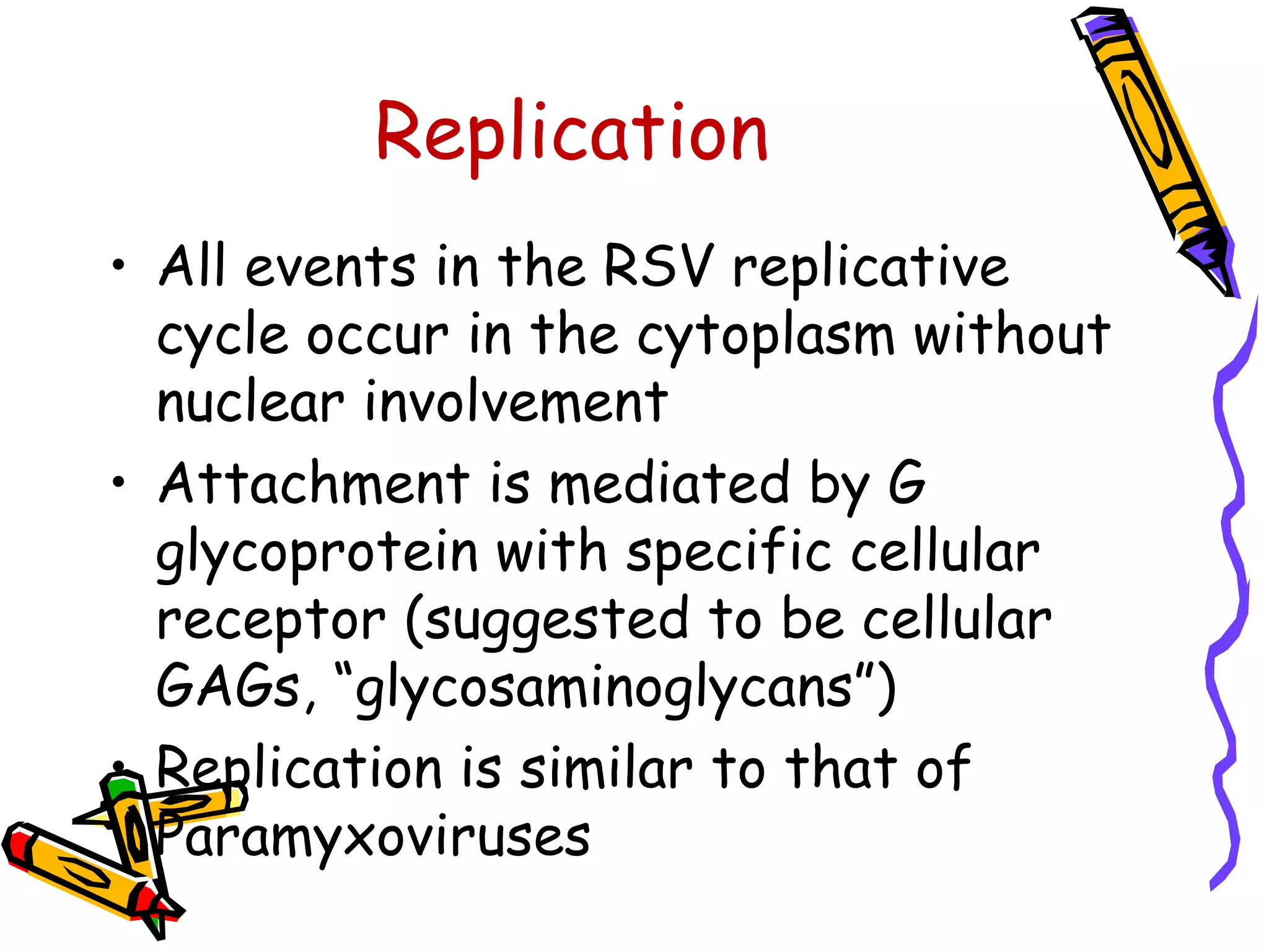 Respiratory Syncytial Virus (RSV) | PPT