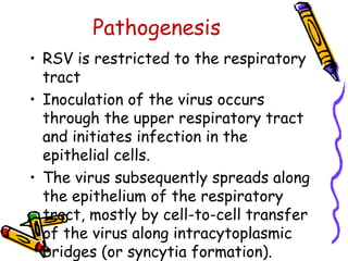 Respiratory Syncytial Virus (RSV) | PPT