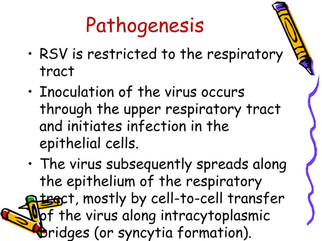 Respiratory Syncytial Virus (RSV) | PPT | Infectious Diseases ...