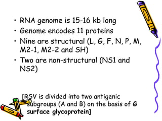 Respiratory Syncytial Virus (RSV) | PPT