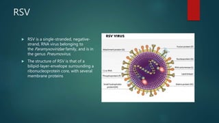 Rsv rod prasad | PPTX