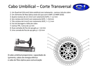 RT - 101 Apostila ROV UHD schilling manual | PDF