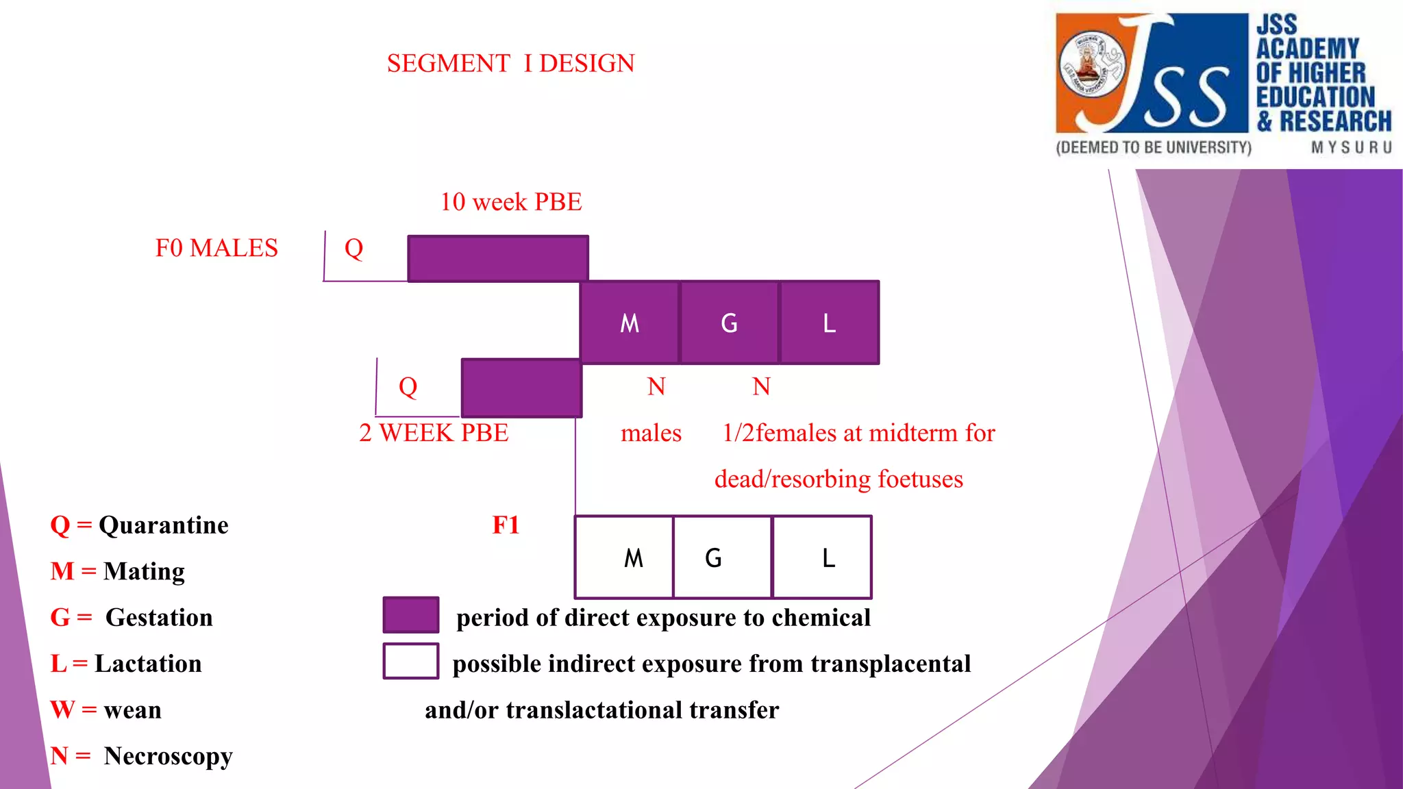 Reproductive toxicology studies | PPTX