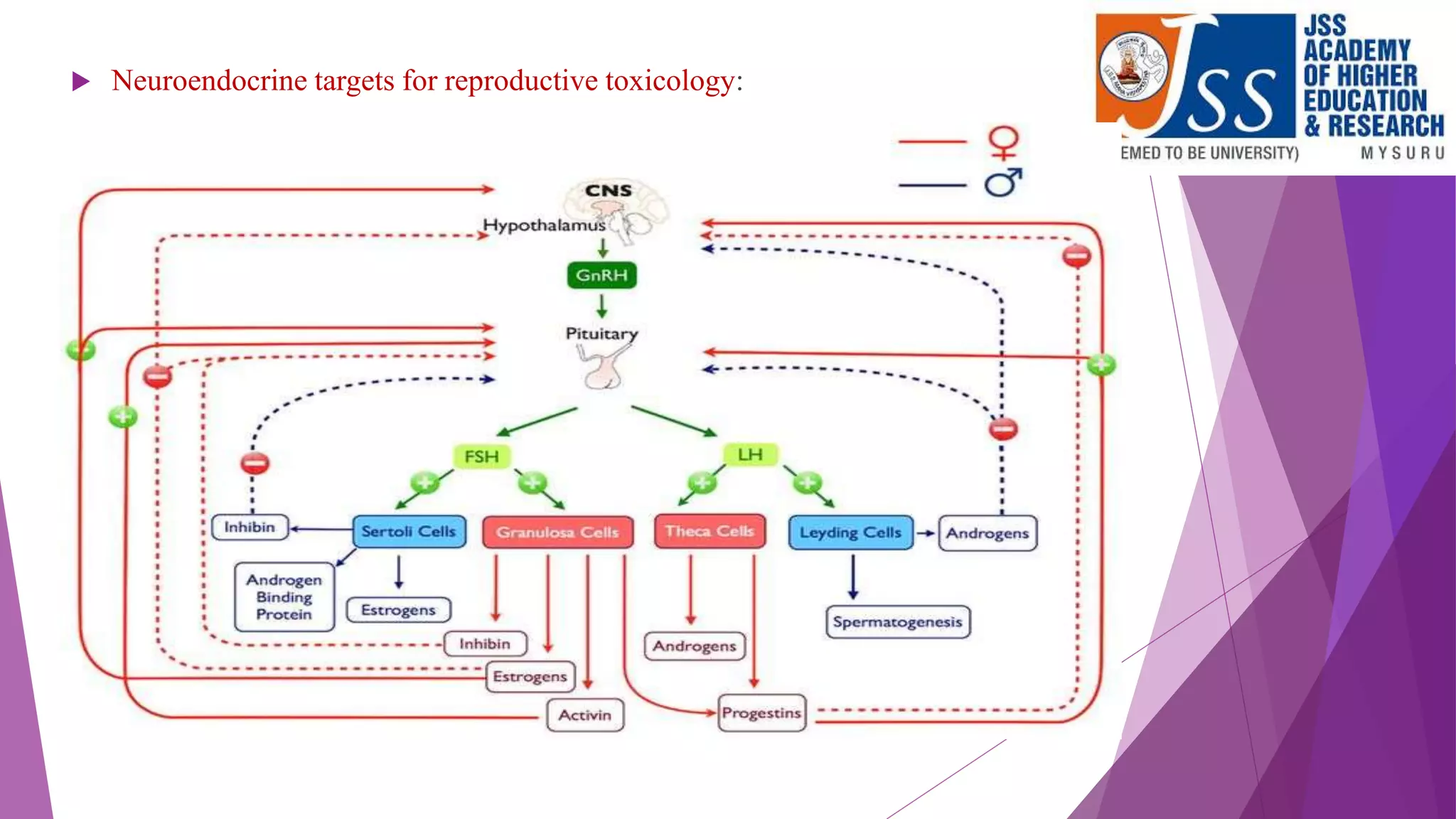 Reproductive toxicology studies | PPTX