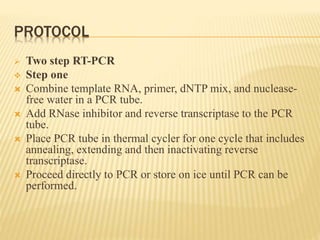rt-pcr-160517175331.pdf | Chemistry | Science