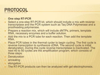 rt-pcr-160517175331.pdf